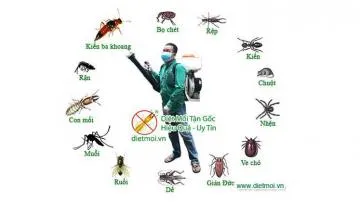 Diệt Mối Trần Anh - Công Ty Cổ Phần Đầu Tư Trần Anh - MST 0312427534 ...